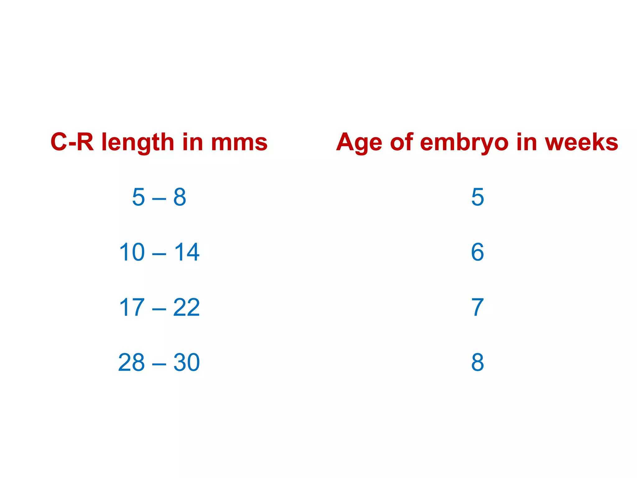 Umbilical Cord (General Embryology) | PPS