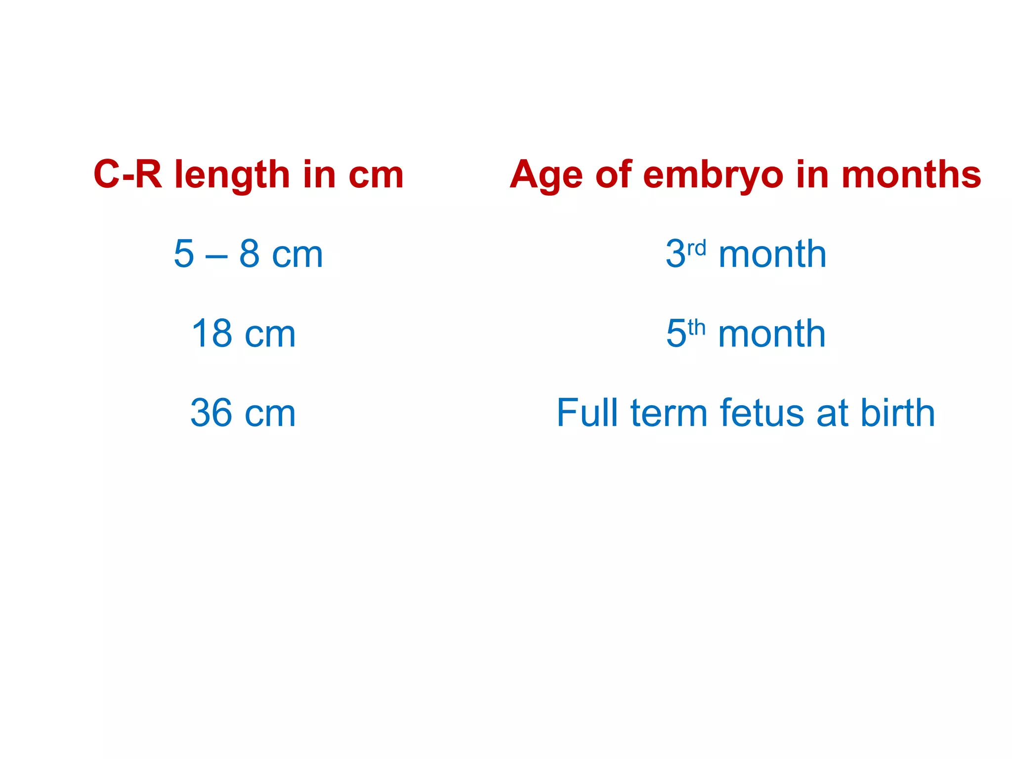 Umbilical Cord (General Embryology) | PPS