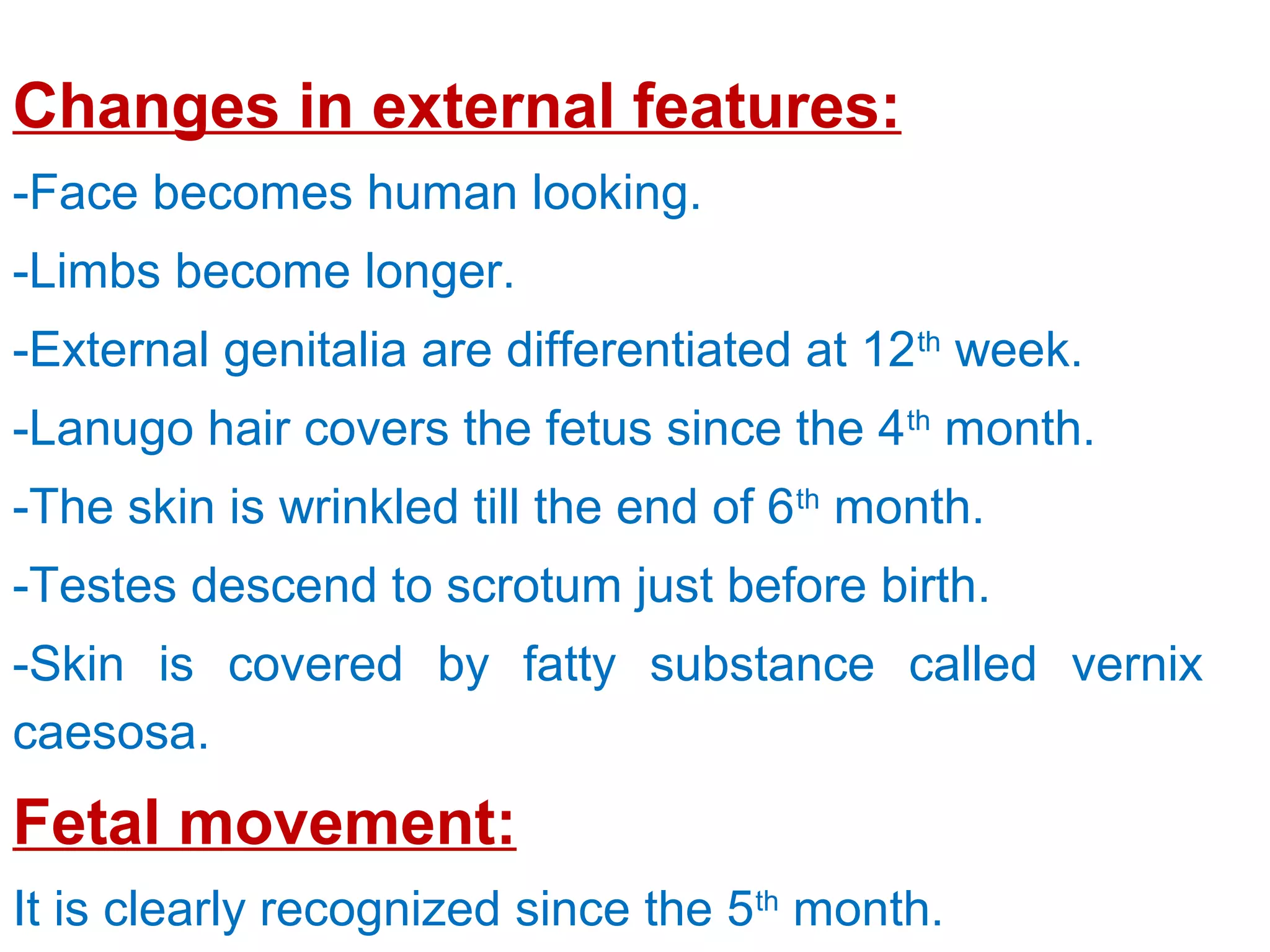 Umbilical Cord (General Embryology) | PPS
