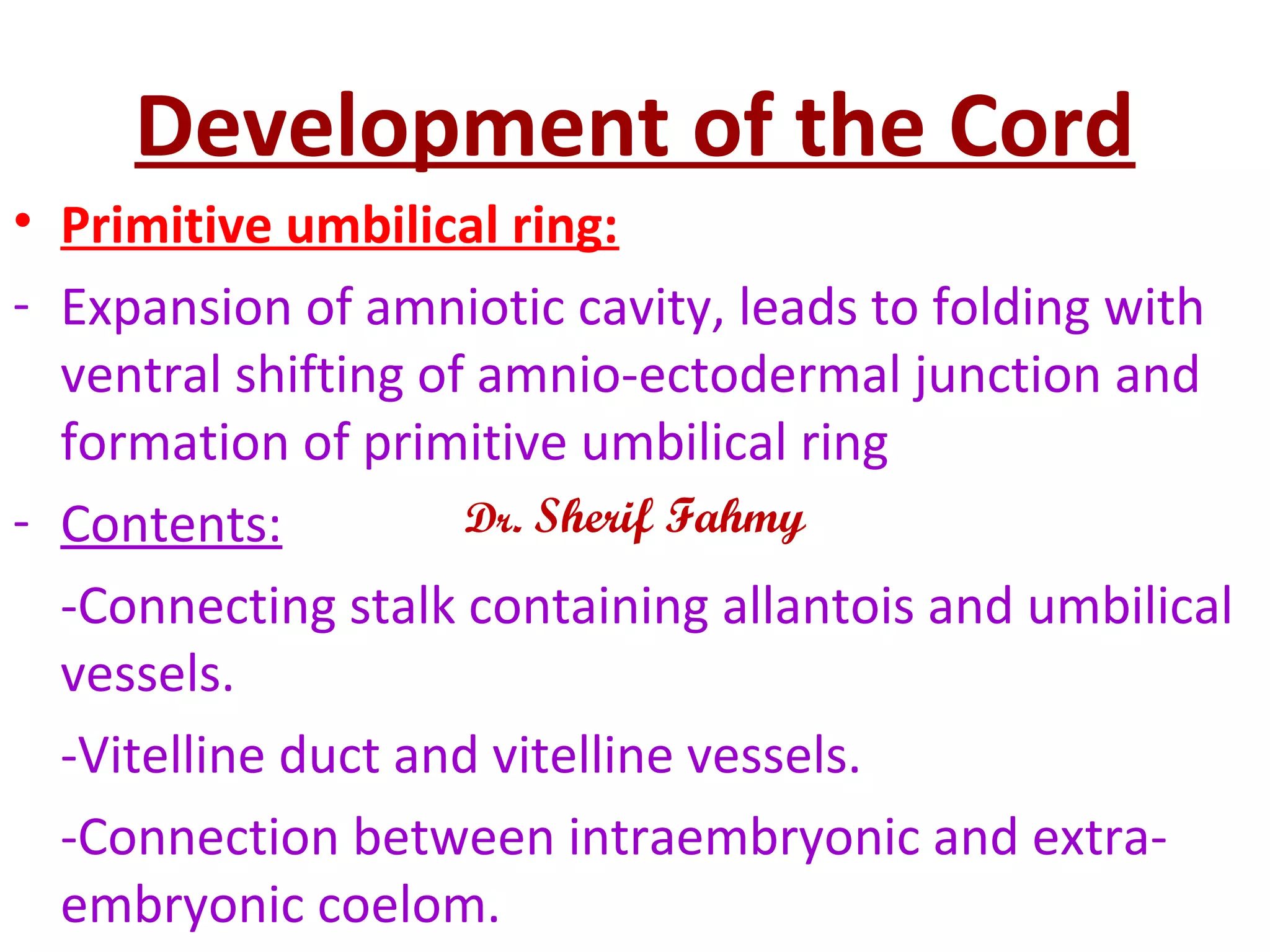 Umbilical Cord (General Embryology) | PPS