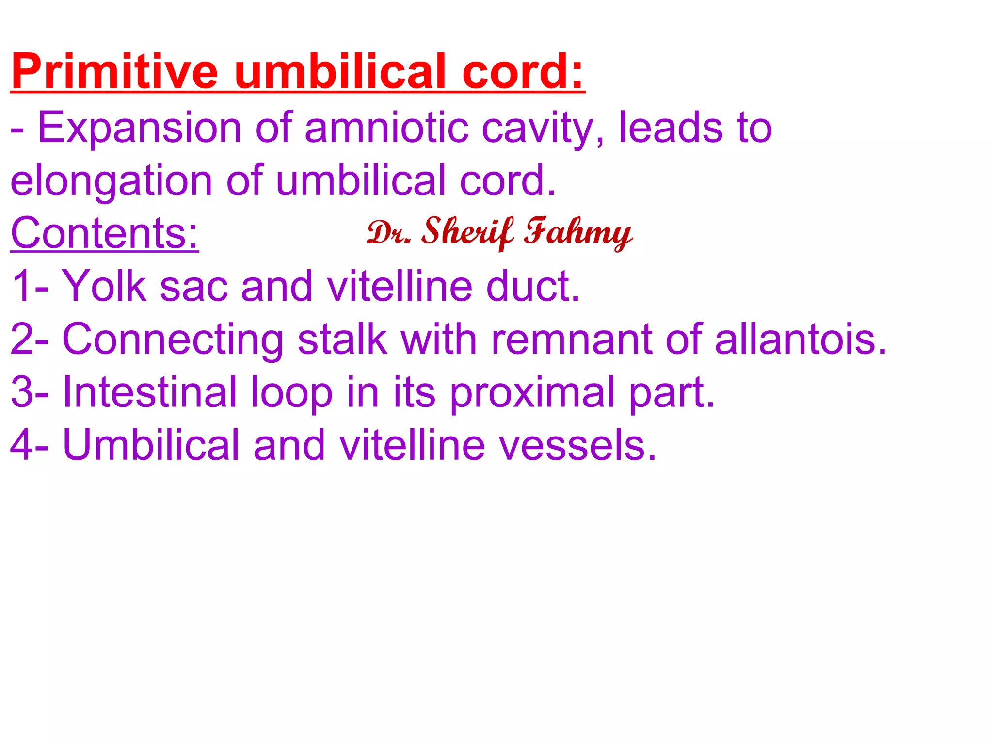 Umbilical Cord (General Embryology) | PPS