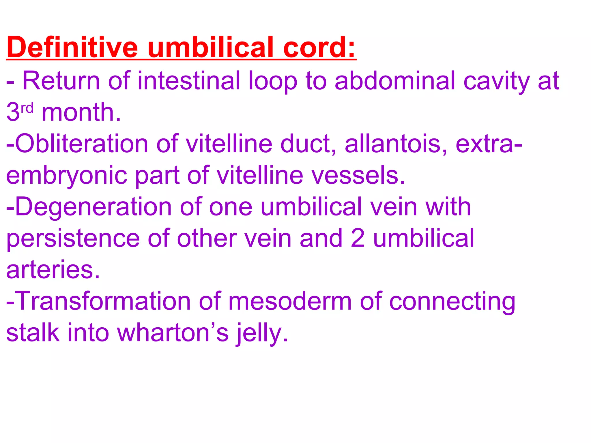 Umbilical Cord (General Embryology) | PPS