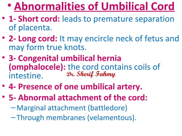 Umbilical Cord (General Embryology) | PPS | Pregnancy | Reproductive Health