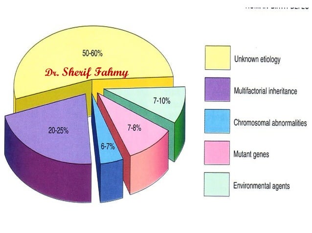 Umbilical Cord (General Embryology) | PPS | Pregnancy | Reproductive Health