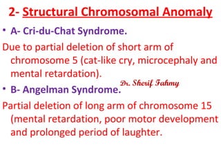 Umbilical Cord (General Embryology) | PPS