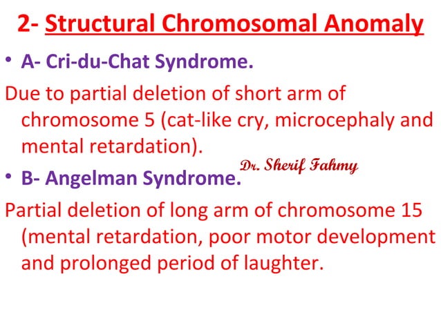 Umbilical Cord (General Embryology) | PPS | Pregnancy | Reproductive Health