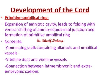 Umbilical Cord (General Embryology) | PPS