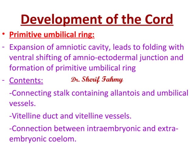 Umbilical Cord (General Embryology) | PPS | Pregnancy | Reproductive Health