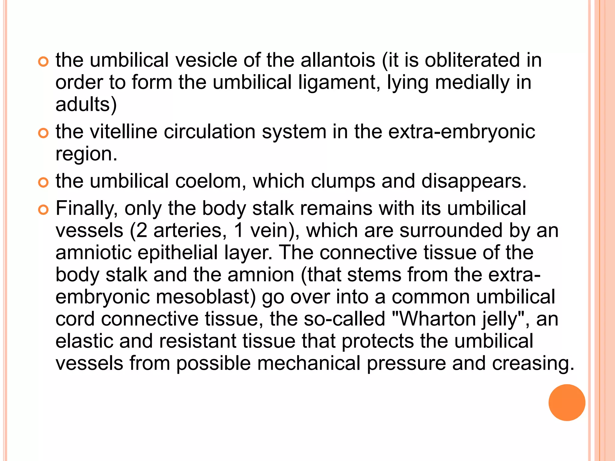 Umbilical cord | PPTX