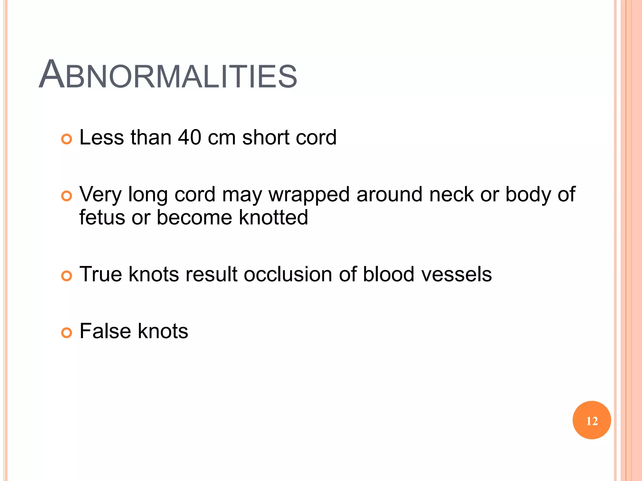 Umbilical cord | PPTX