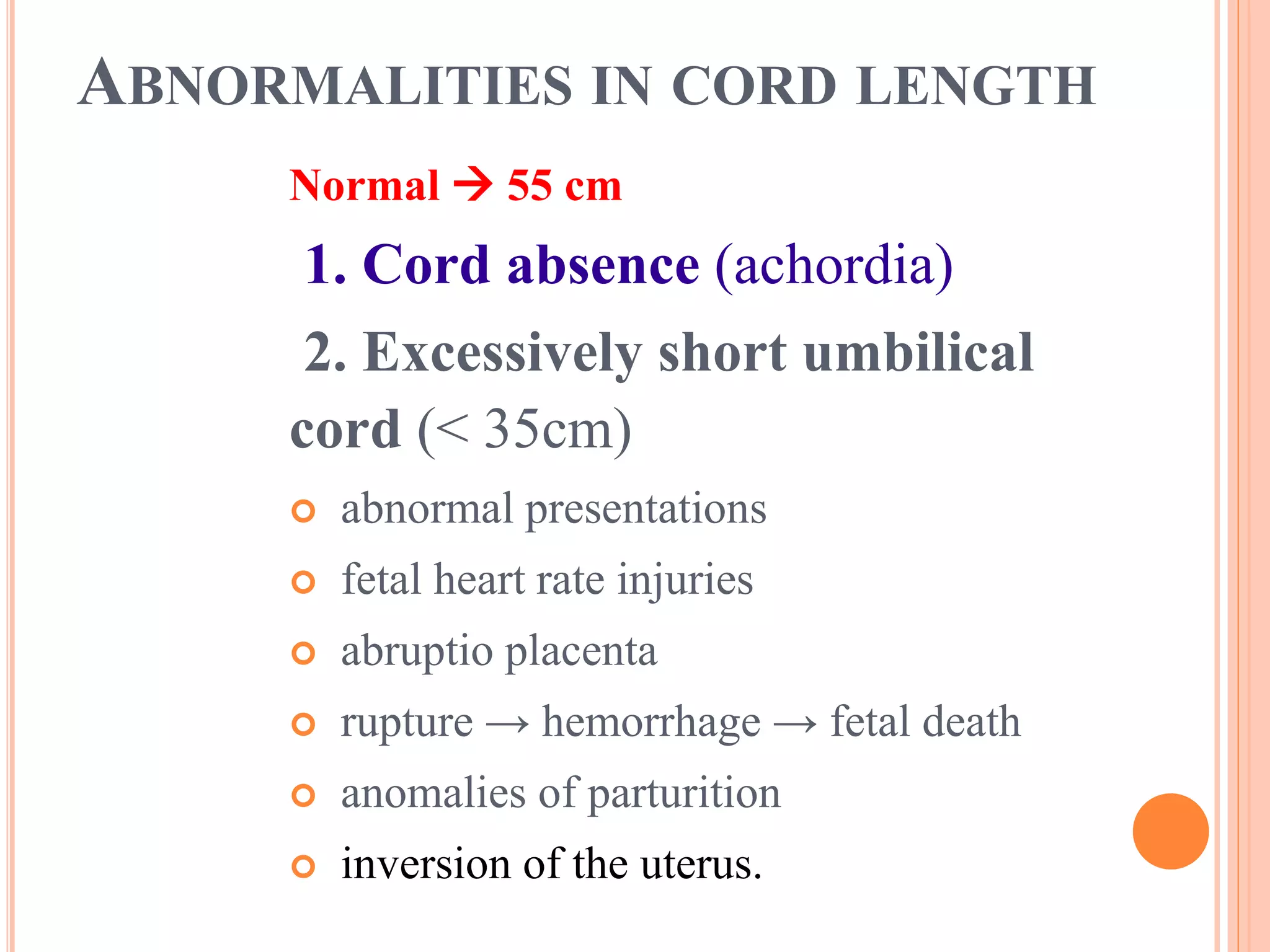 Umbilical cord | PPTX