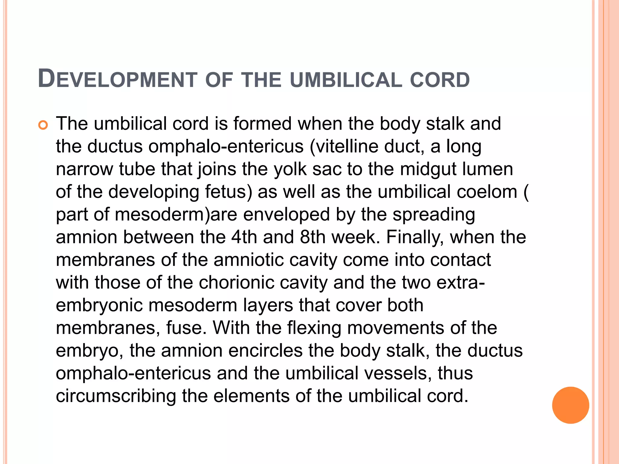 Umbilical cord | PPTX