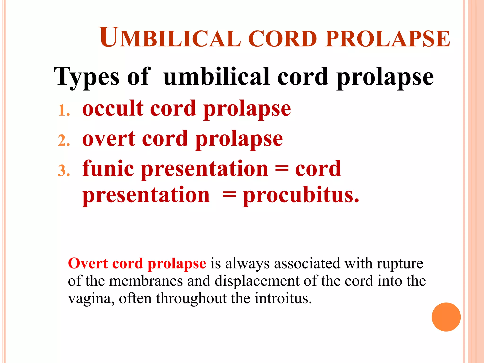 Umbilical cord | PPTX
