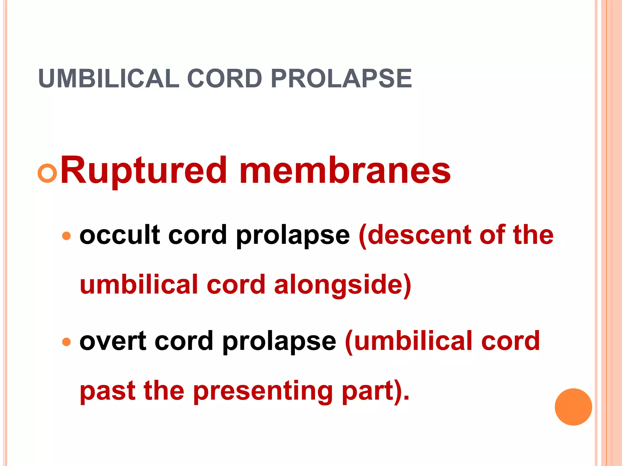 Umbilical cord | PPTX