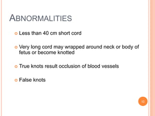 Umbilical cord | PPTX