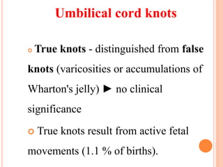 Umbilical cord | PPTX