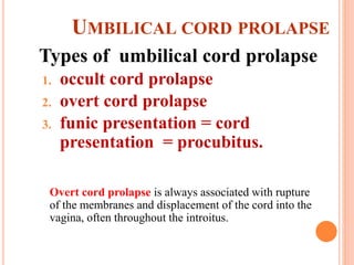 Umbilical cord | PPTX