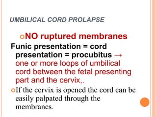 Umbilical cord | PPTX