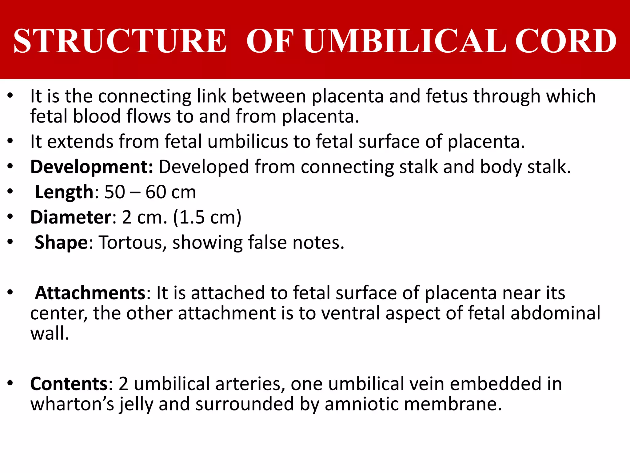 Umbilical cord and cord abnormalities | PPTX