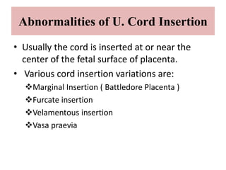 Umbilical cord and cord abnormalities | PPTX