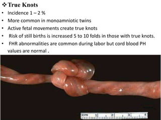 Umbilical cord and cord abnormalities | PPTX