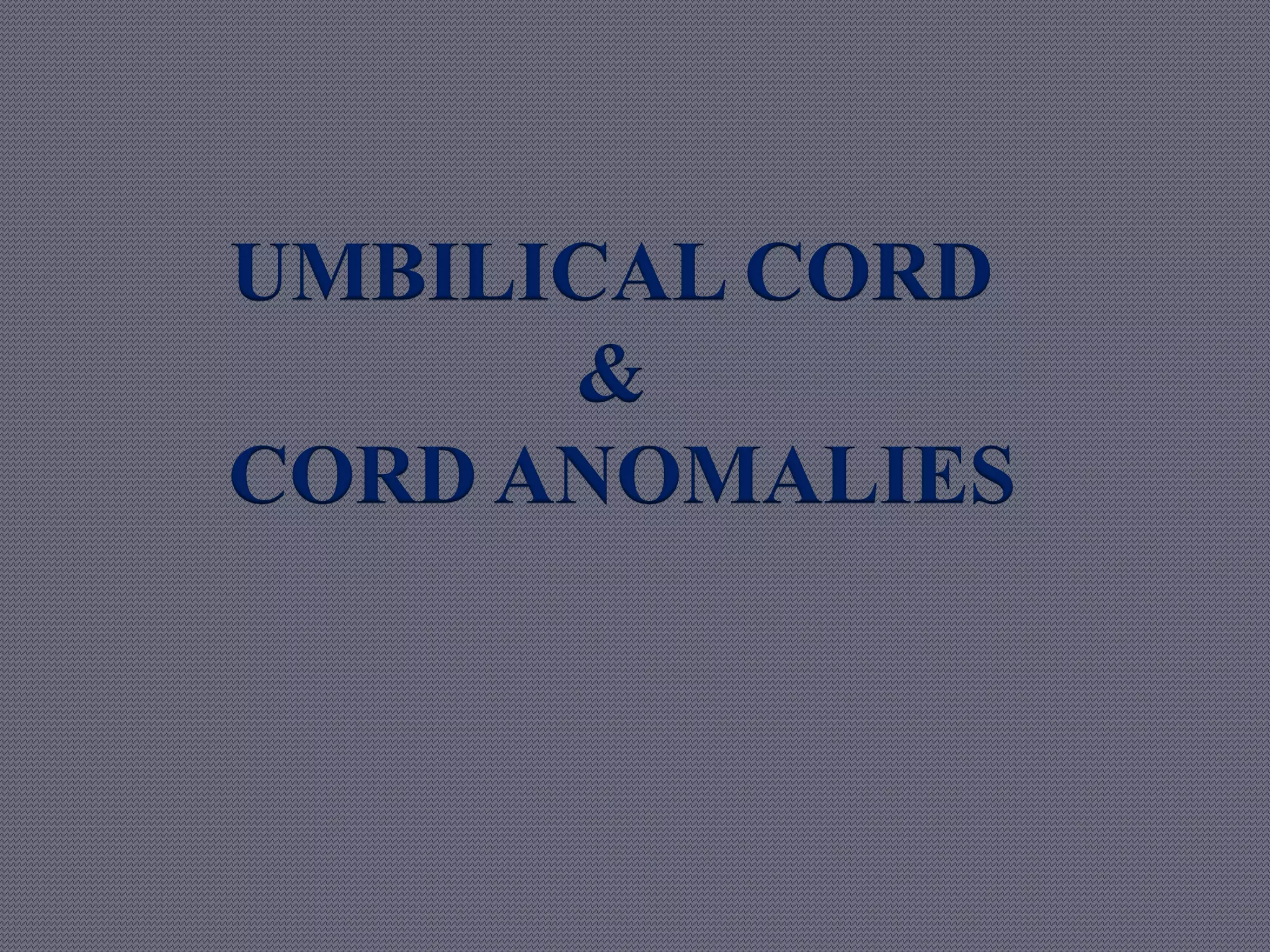 Umbilical cord.pptx