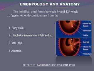 Umbilical cord.pptx