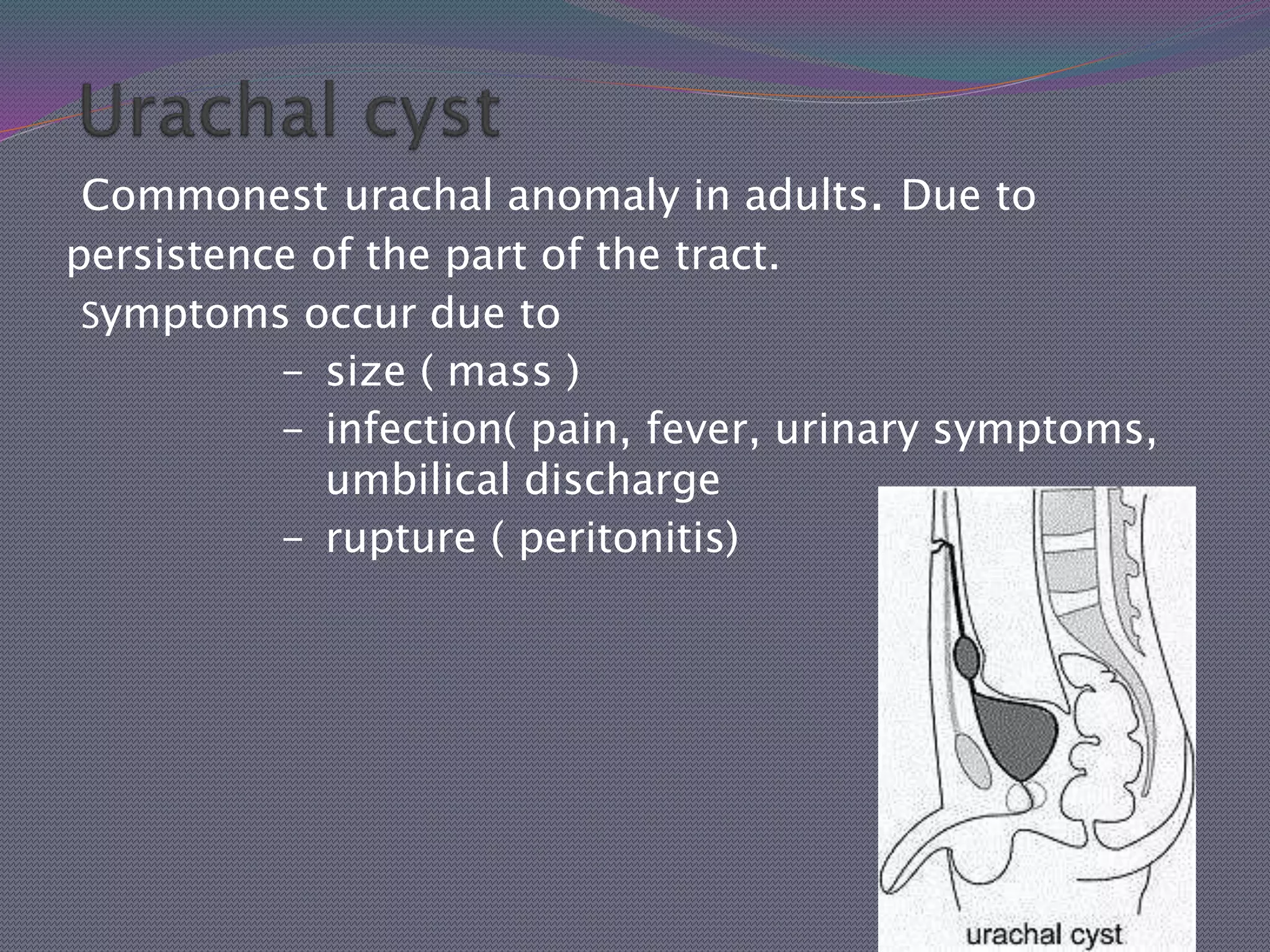 Umbilical cord.pptx