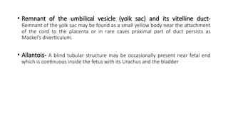 UMBILICAL CORD.................................... | PPTX