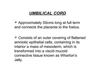 Anatomical structure of UMBILICAL CORD.ppt