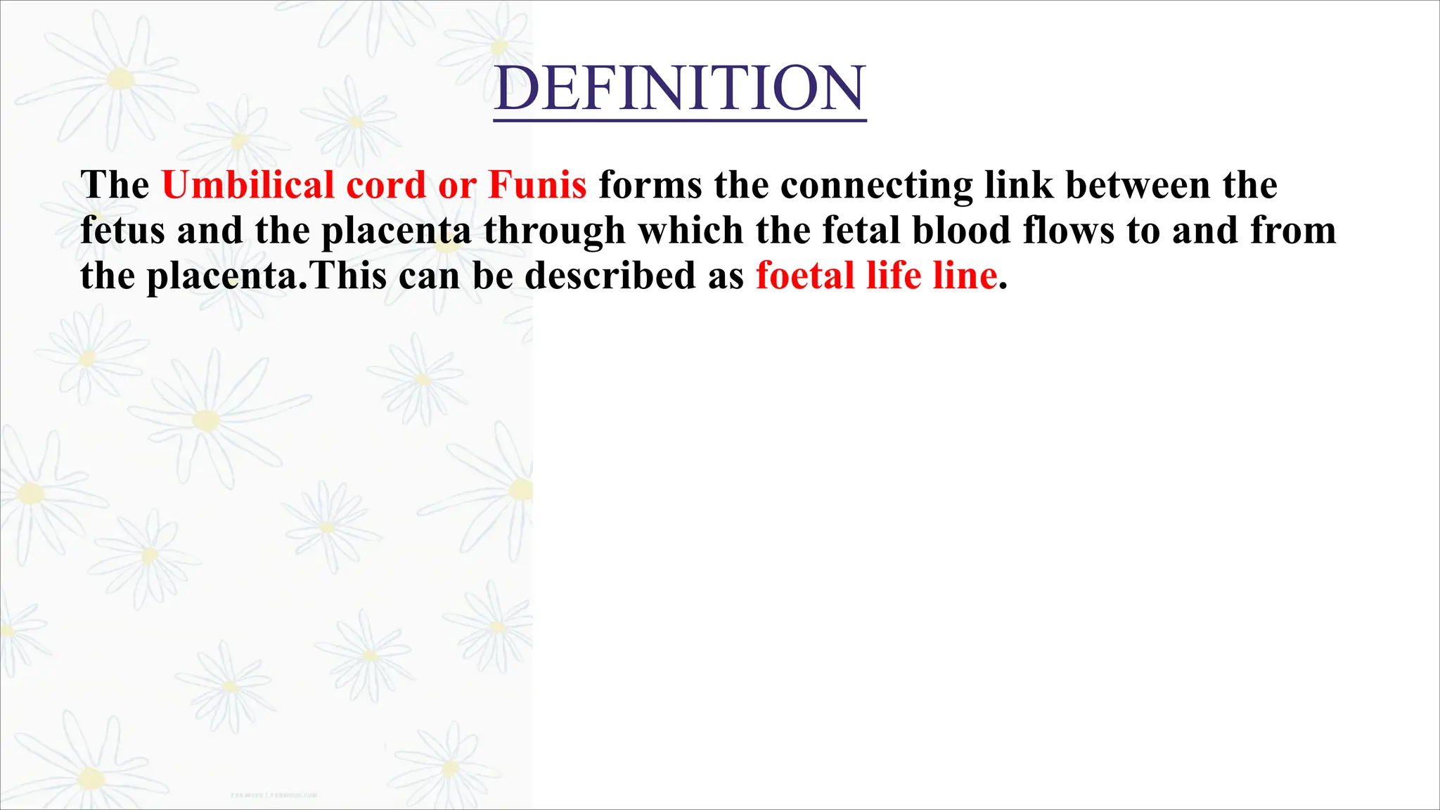 UMBILICAL CORD deformities -Dr. ARCHANA ASOK.pdf