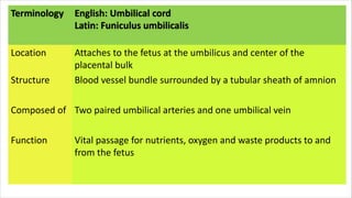 UMBILICAL CORD deformities -Dr. ARCHANA ASOK.pdf