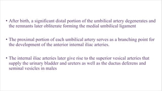 UMBILICAL CORD deformities -Dr. ARCHANA ASOK.pdf