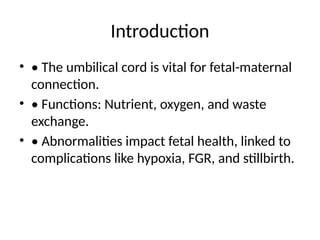 Umbilical_Cord_Abnormalities_Presentation.pptx