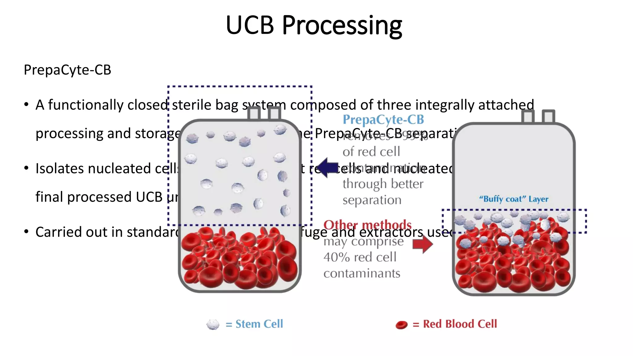 Umbilical cord blood banking (ucb) (1) qwe | PPTX