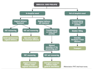 Umbilical cord prolapse | PPTX