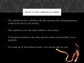 Umbilical cord prolapse | PPTX