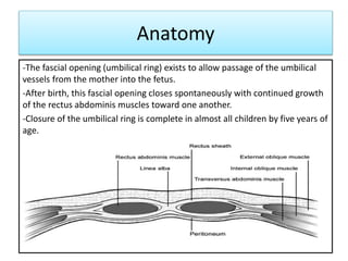 Umbilical hernia ,undescended testis | PPTX
