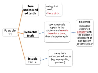 Umbilical hernia ,undescended testis | PPTX