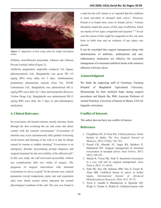 Umbilical hernia with extensive adhesion and evisceration in a bovine ...