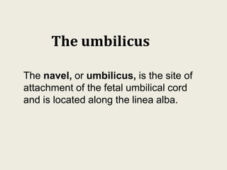 Umbilicus disease | PPTX