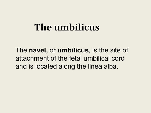 Umbilicus disease | PPTX
