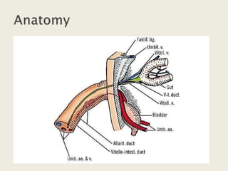 Umbilicus disease | PPTX