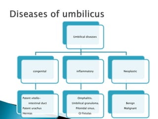 diseases of Umbilicus | PPTX