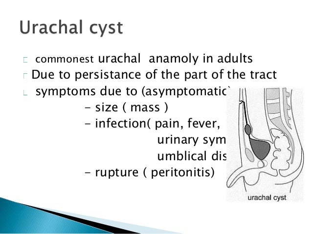 diseases of Umbilicus