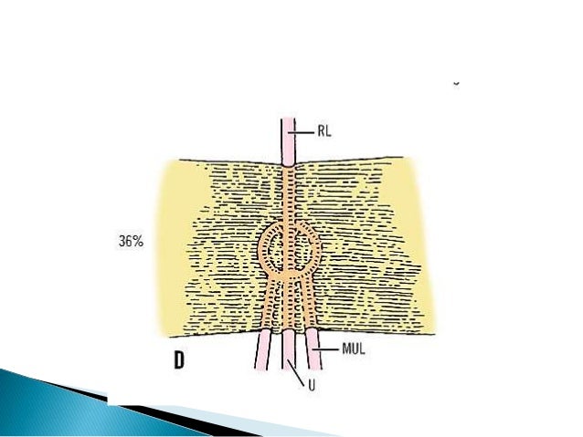 diseases of Umbilicus