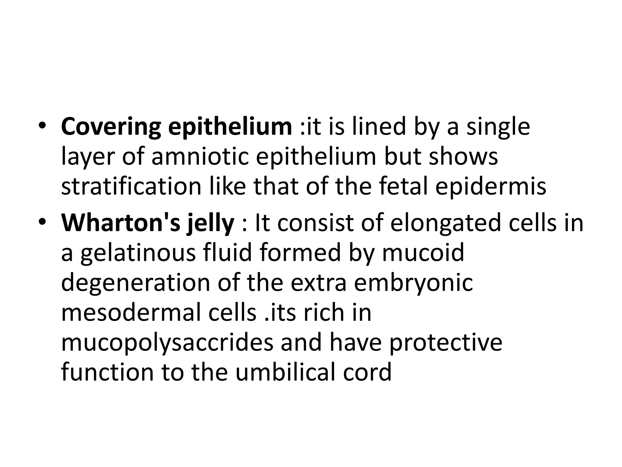 Umblical cord | PPTX