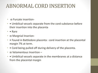 Umblical cord and abnormalities.pptx