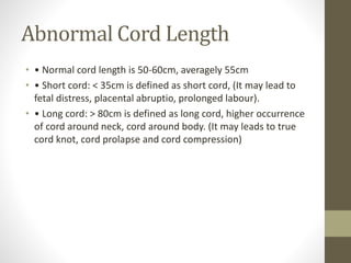 Umblical cord and abnormalities.pptx