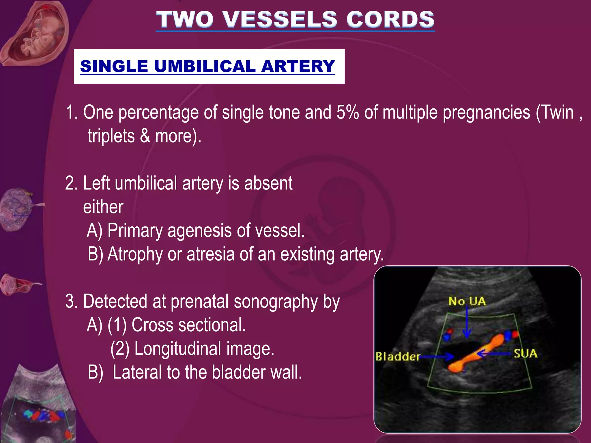 Umblical cord presentation | PPTX